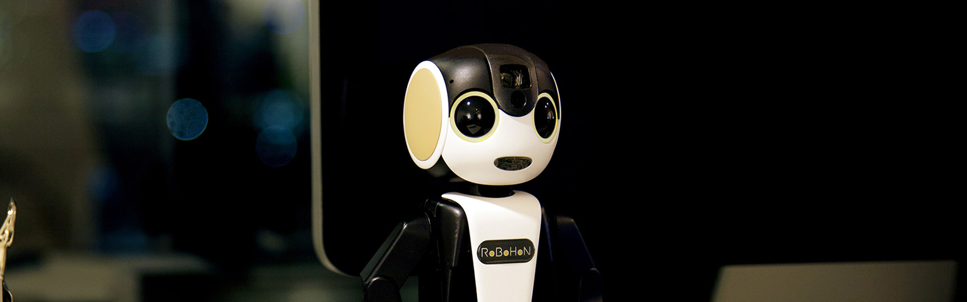 RoBoHoN: An Adventure in Robotics. What You Need to Know | Sharp