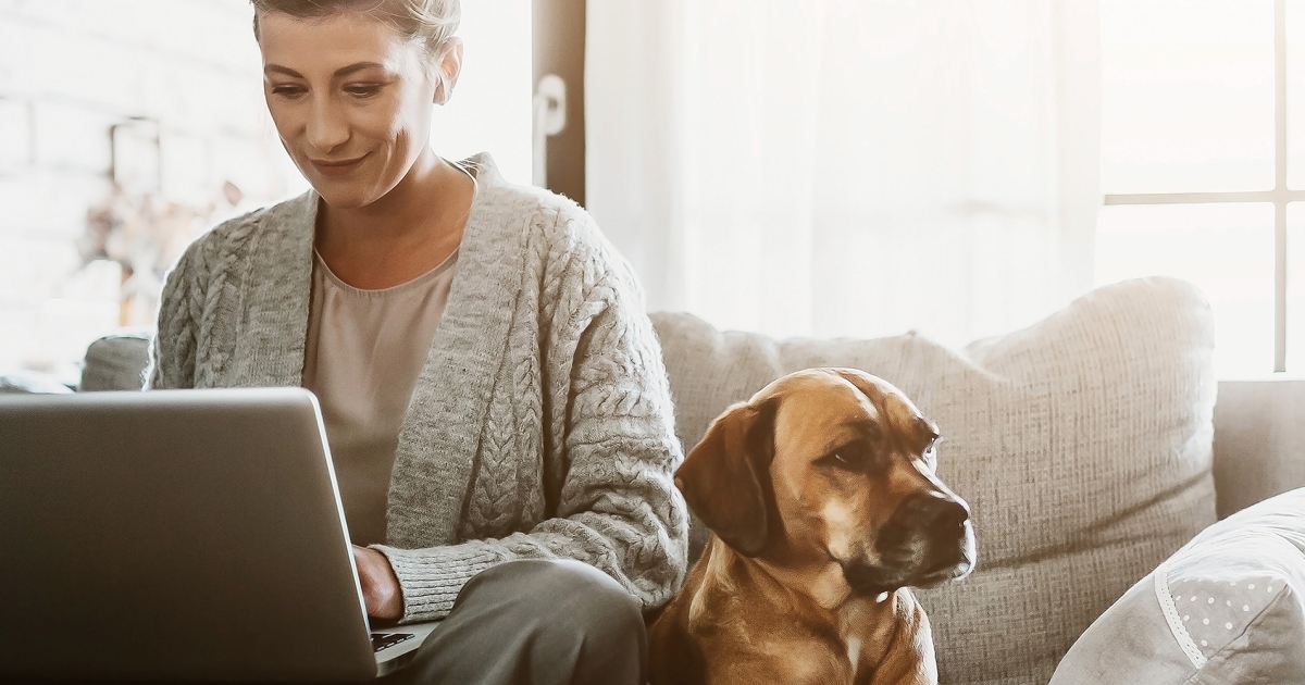 Top Tips for Safely Working From Home on Your Laptop | Sharp